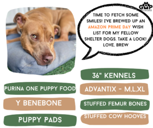 Trinity GAP Rescue – Supporting the Euless Animal Shelter